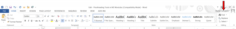 Proofreading Tools in MS Word